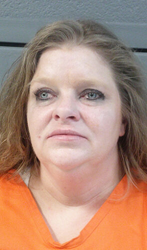 Woman accused of bringing drugs to her inmate son | News, Sports, Jobs ...